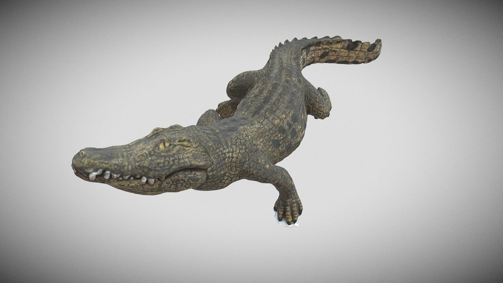 Animals - Wild - A 3D model collection by Cdog86 - Sketchfab