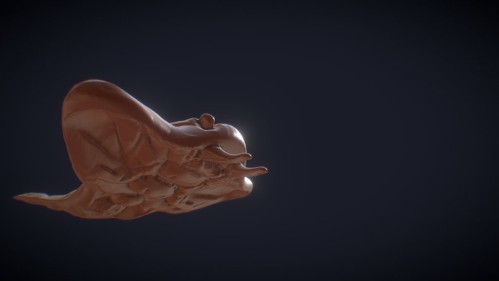Alien Ray Sculpt - Download Free 3D model by mfhscoobydoo [1a23667 ...