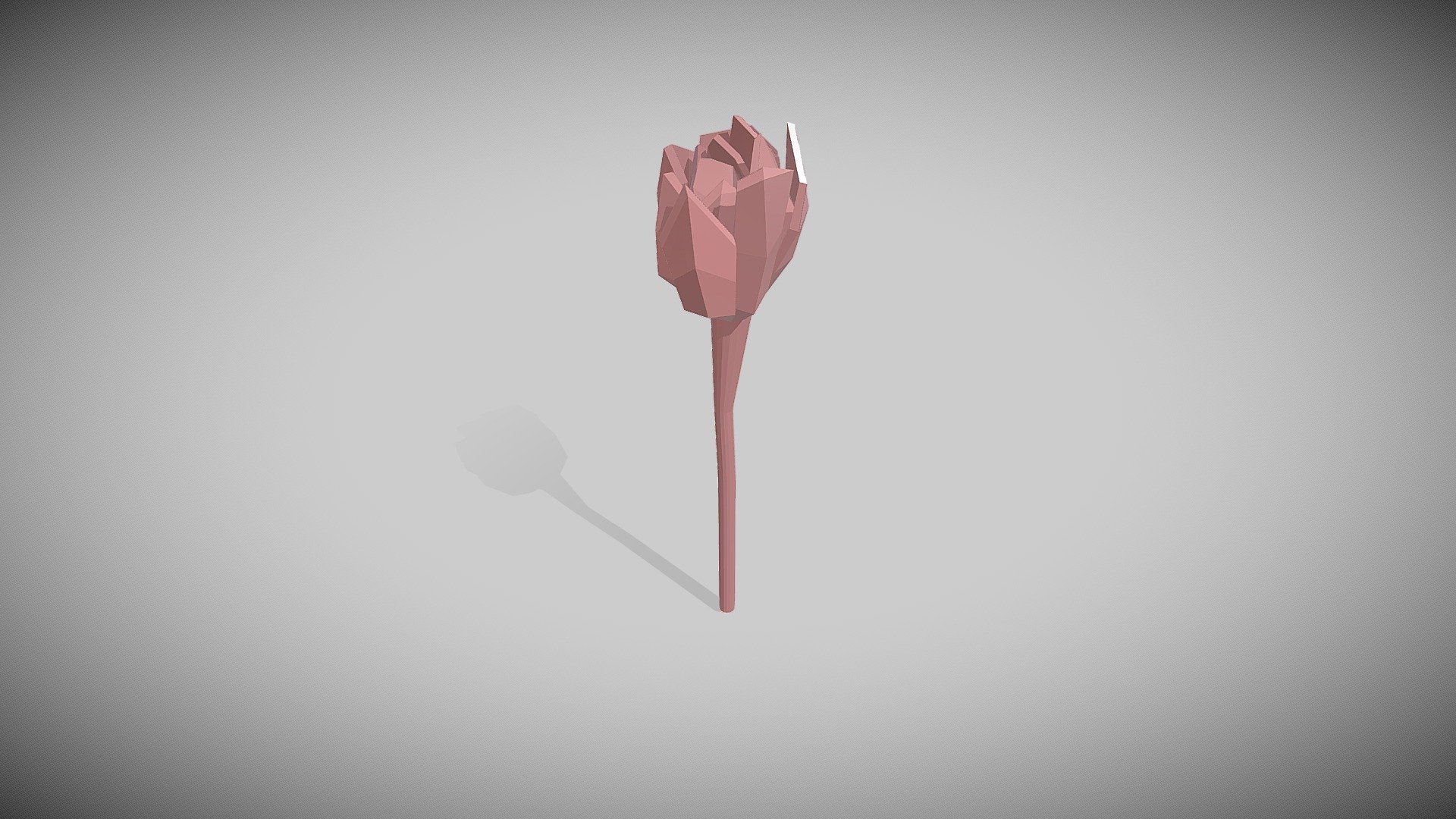 Rose - 3D model by melann_strauss [1a25c43] - Sketchfab