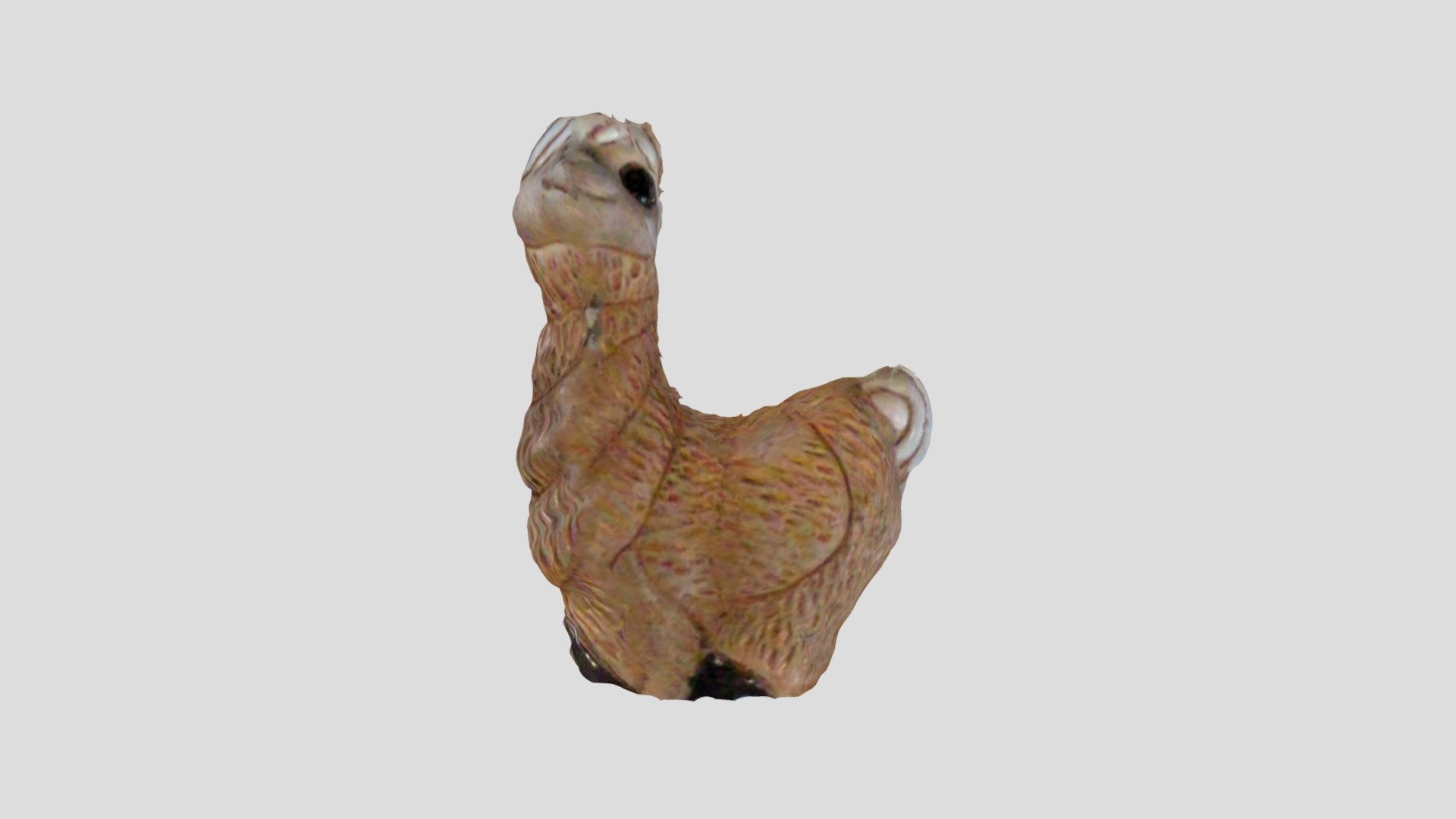 Vicuna - 3D model by Walter.Vega [1a2ed7c] - Sketchfab