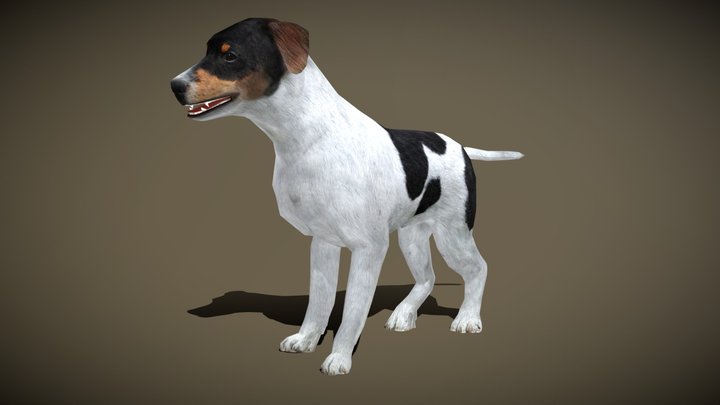 Working-dog 3D models - Sketchfab