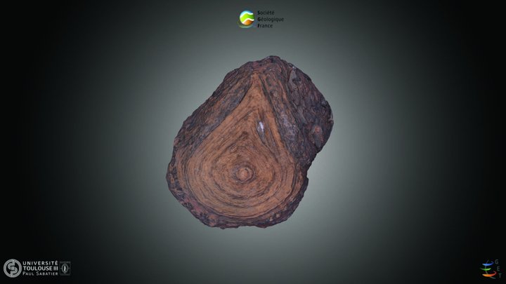 Stromatolithe 3D models - Sketchfab