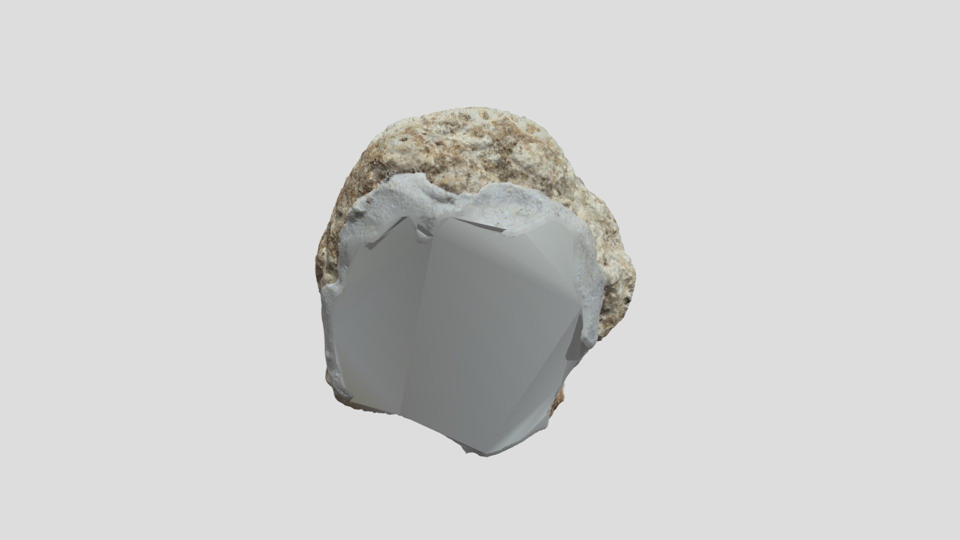 Favia Fragum 143194 Part B - 3D model by lmallenjacobson [1a3938e ...