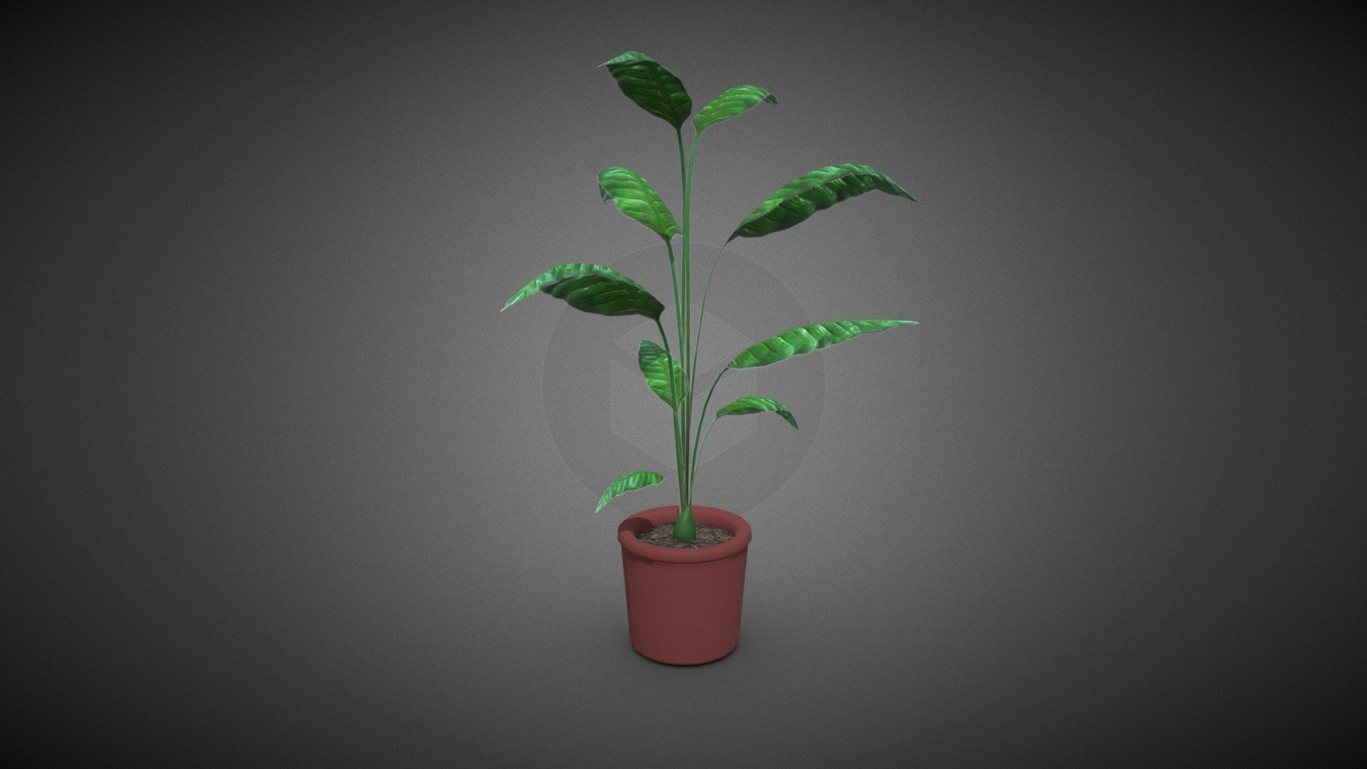 Potted Plant - Download Free 3D model by Gonçalo Miranda (@GoncMira02 ...