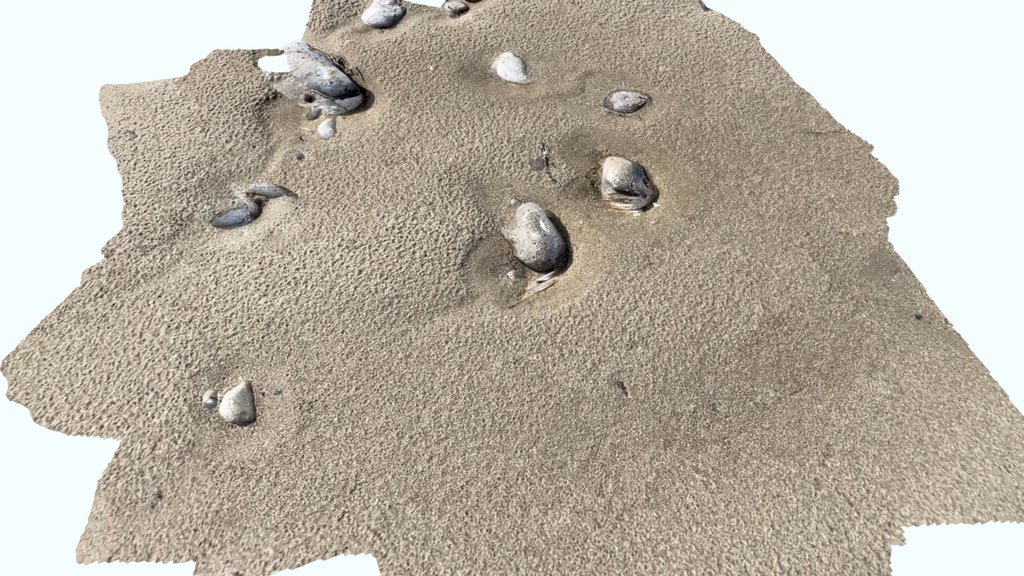 beach - A 3D model collection by baxterbaxter - Sketchfab