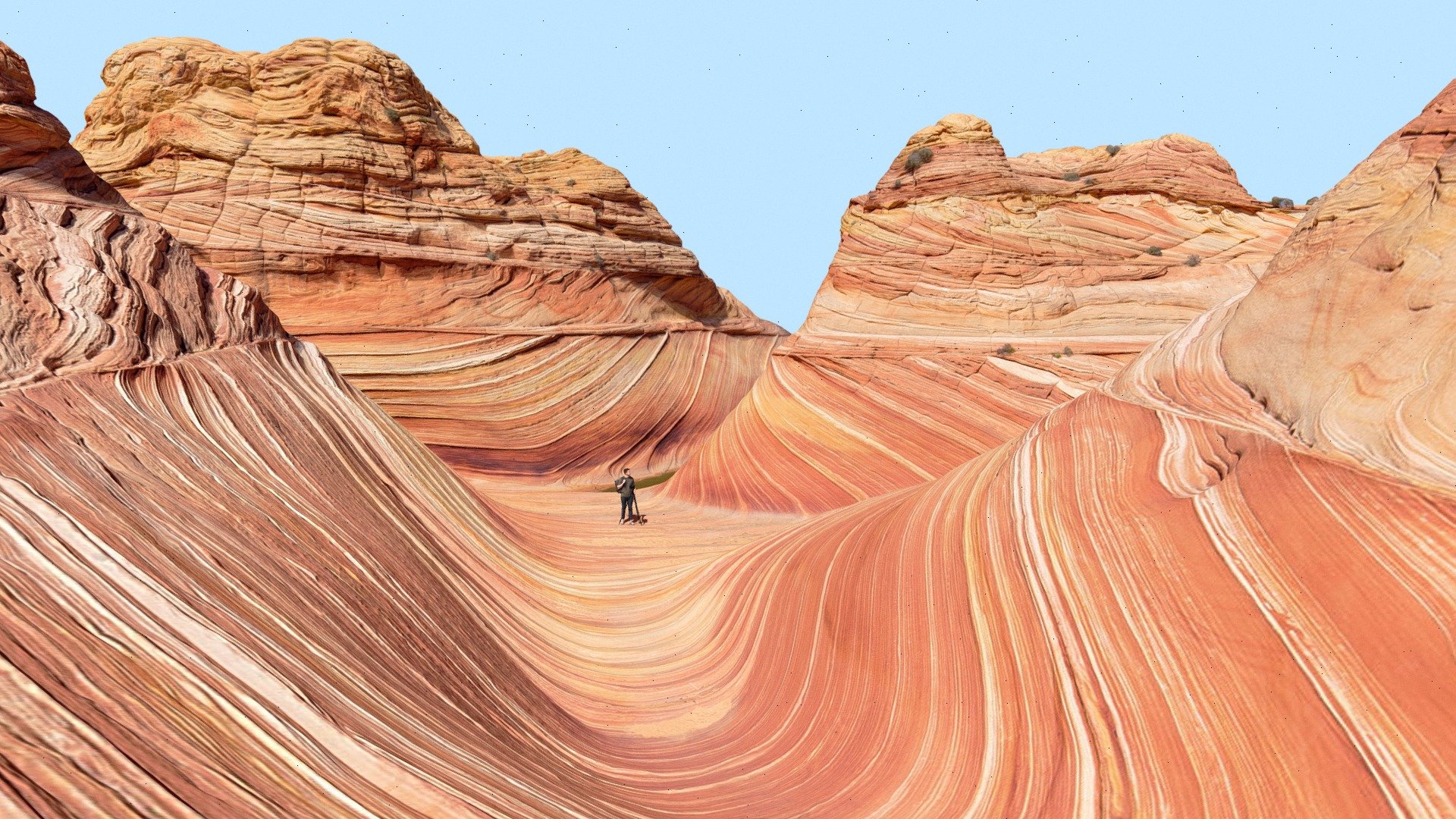 The Wave - 3D model by Akin Bilgic (@AkinBilgic) [1a74251] - Sketchfab