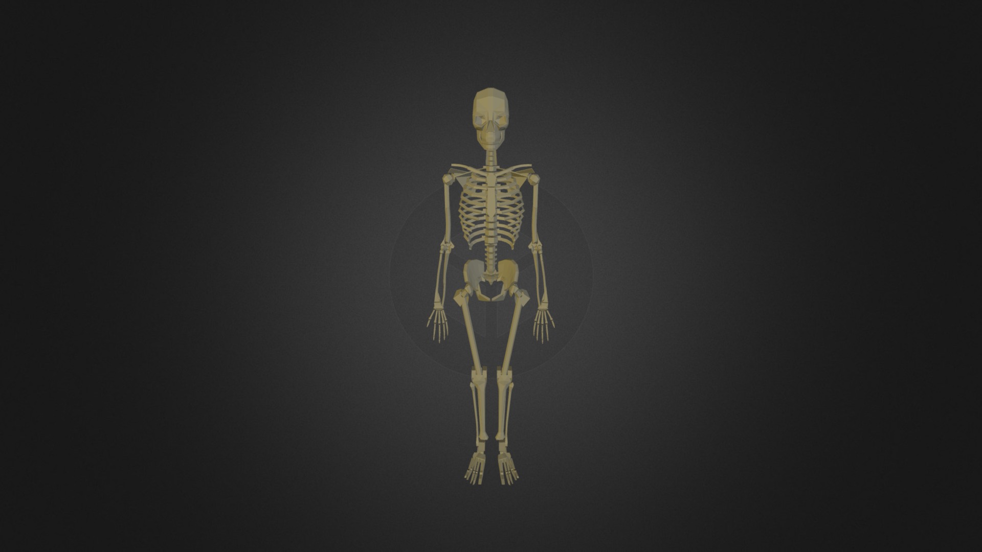 Human Body Skeleton - 3D model by Mike Gao (@mikegao) [1a74b7b] - Sketchfab