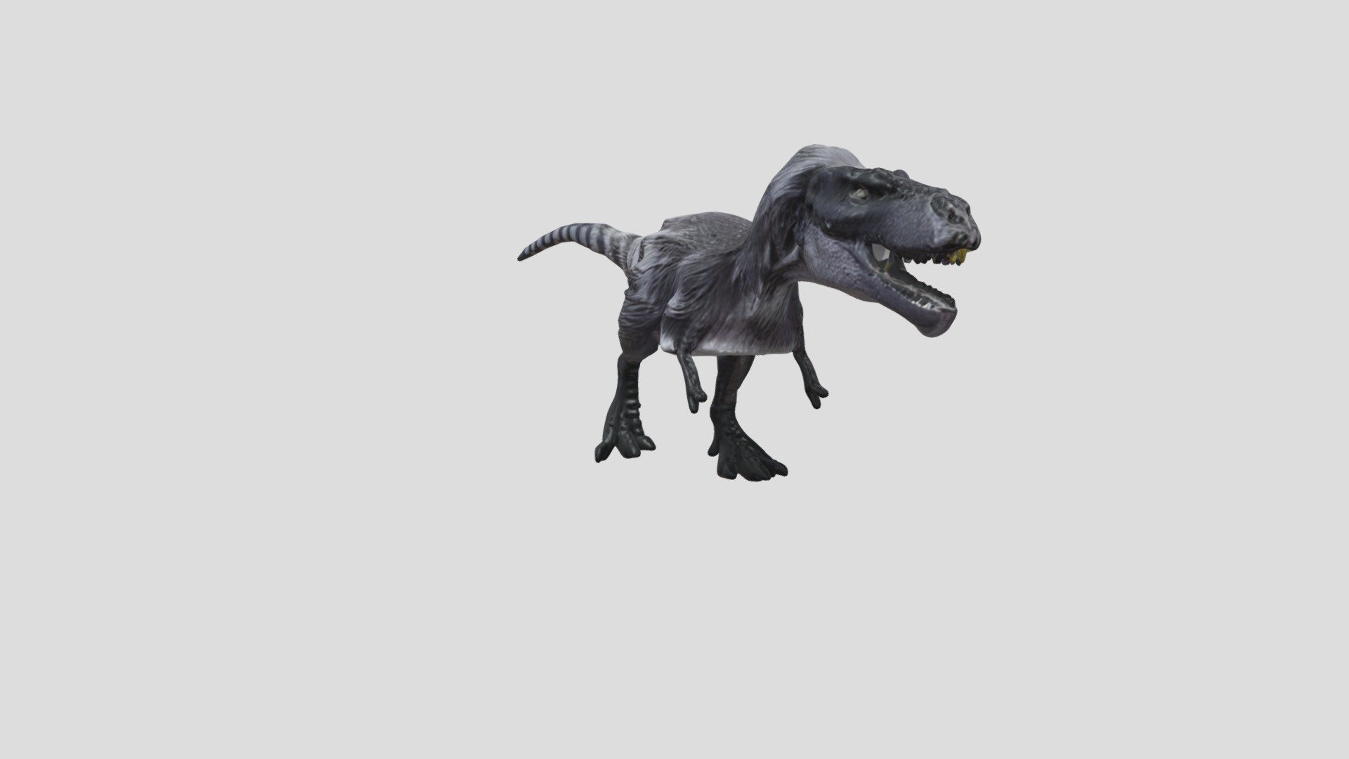 Gorgosaurus Libratus - Download Free 3D model by Allosaurus28YT ...