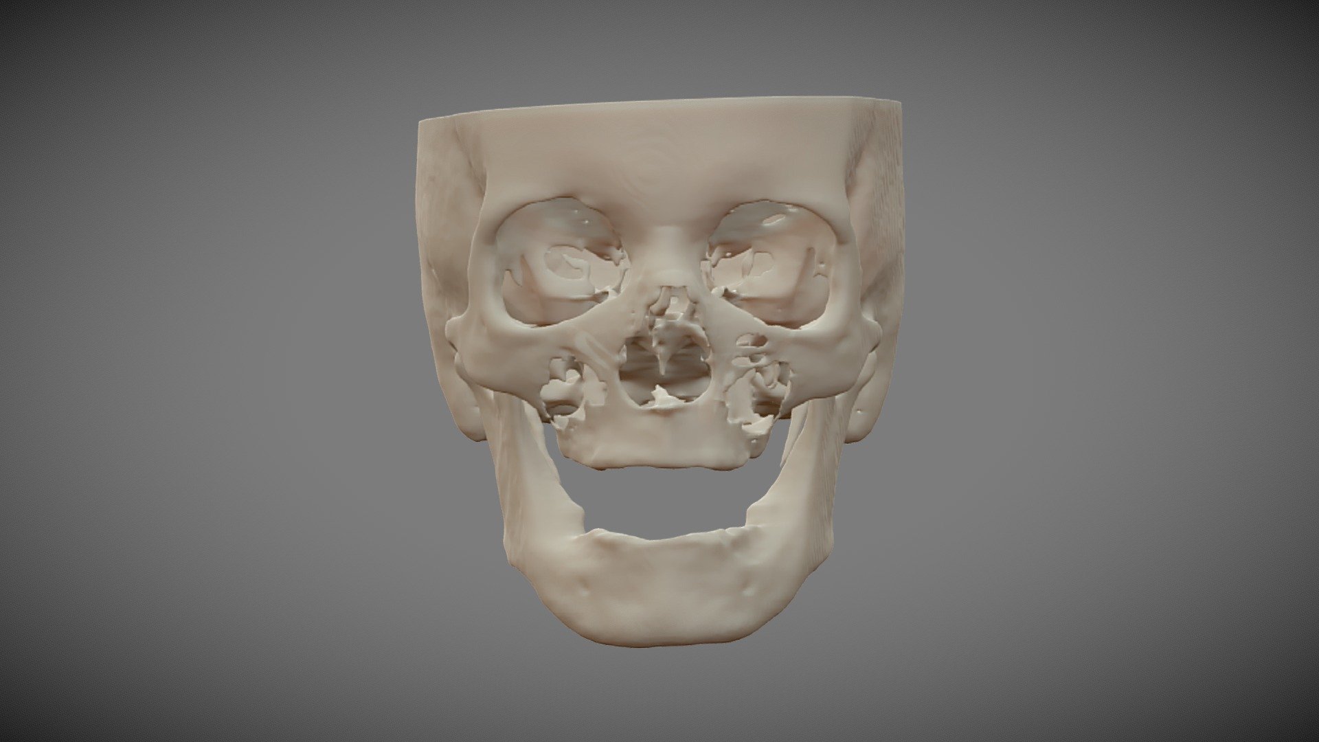 Skull Female 67yo - 3D model by Terrie (@terrielsimmons) [1a8cbcc ...
