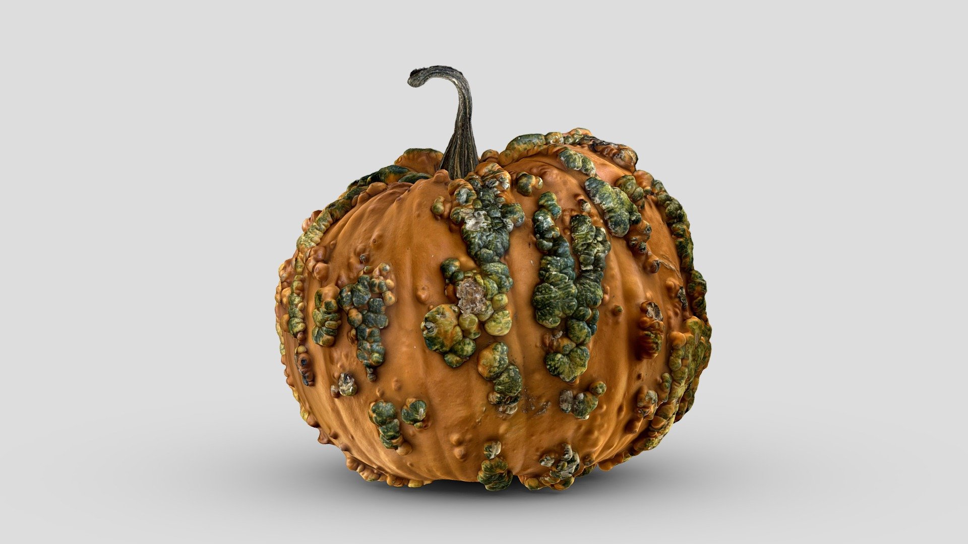 Bumpy Pumpkin - Download Free 3D model by Terrie Simmons-Ehrhardt ...