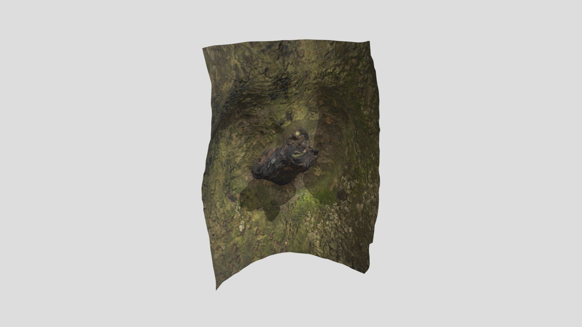 Trunk 59 AM255 Archmodel - Buy Royalty Free 3D model by Evermotion ...