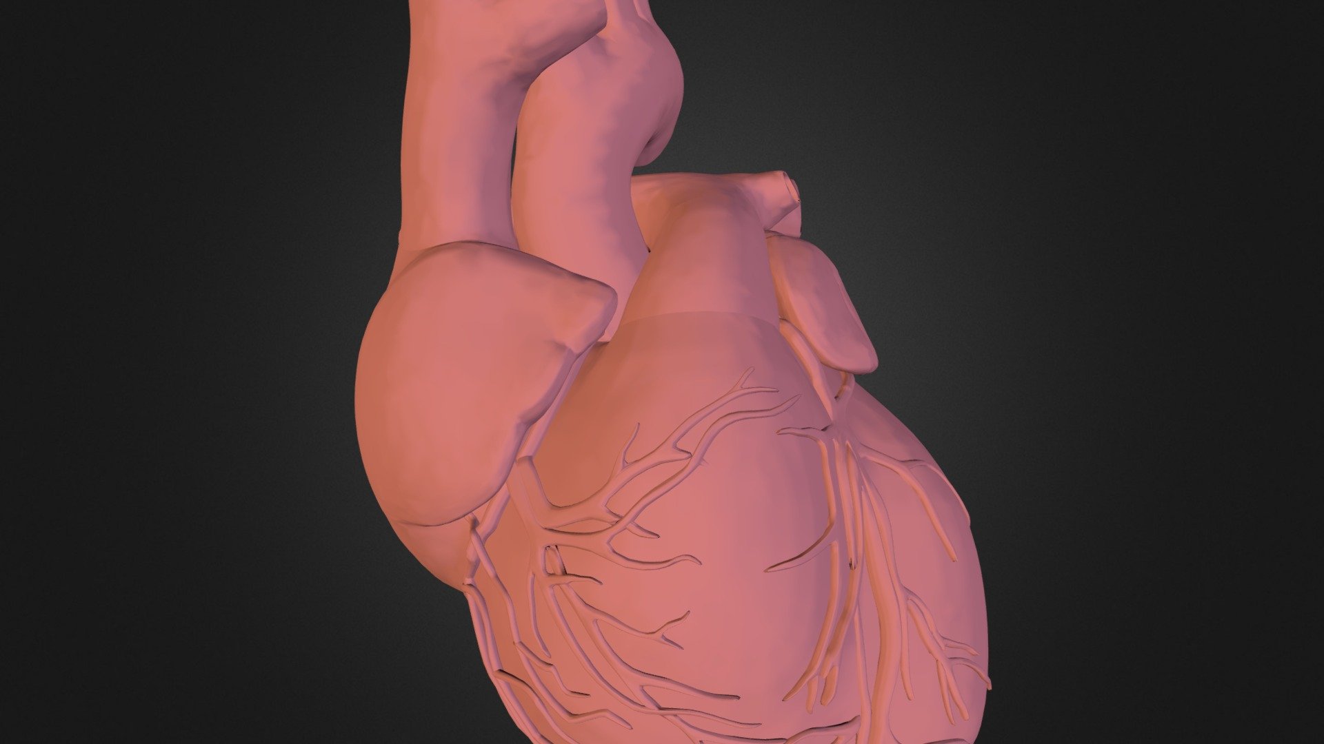 Human Heart Realistic - 3D model by 3DCloud.company (@3dcloud) [1aa5e73 ...