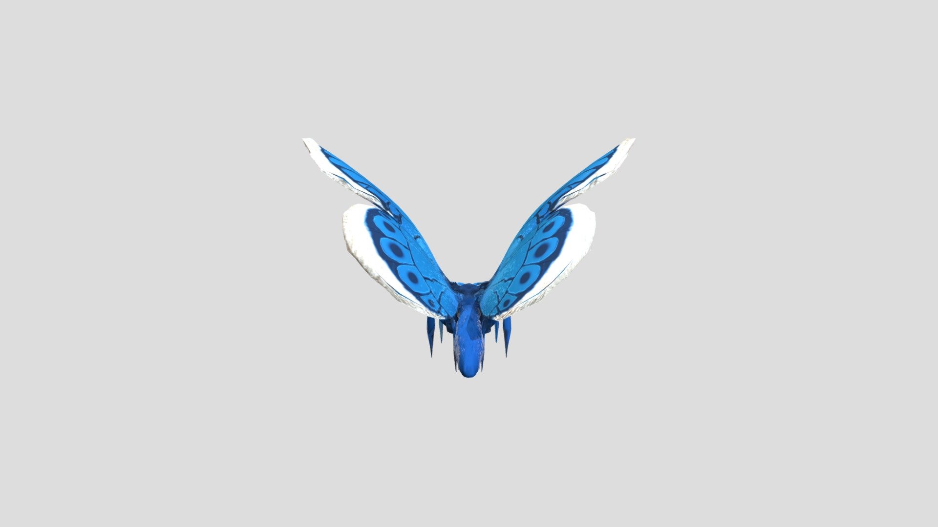 Moth-Photorealistic - 3D model by H. Rigatti (@hrigatti) [1aac29d ...