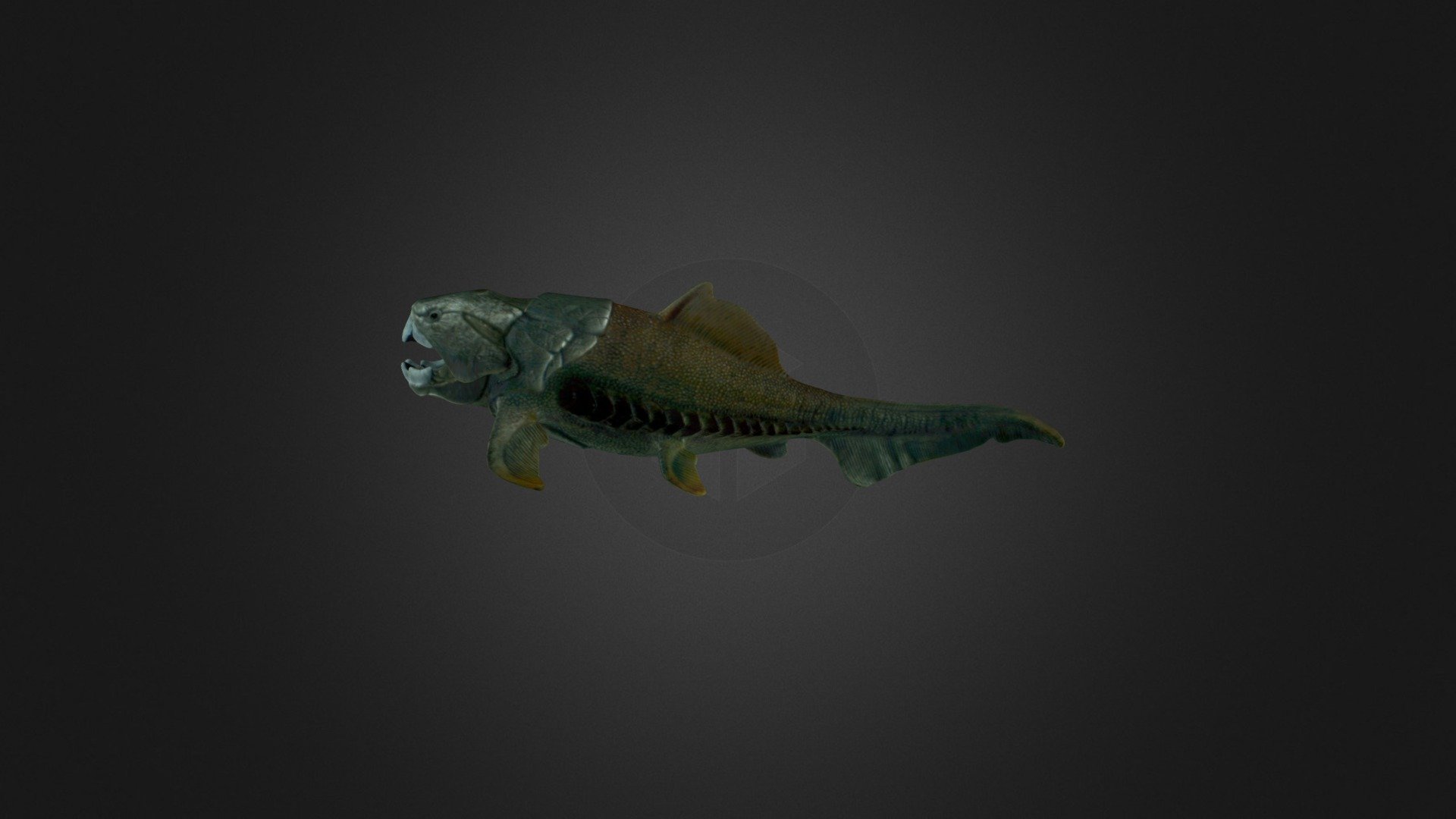 Dunkleosteus - 3D model by Replik8 Studios (@replik8) [1ab1082] - Sketchfab