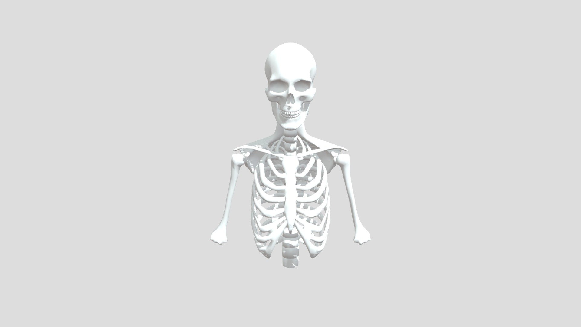 Trapezius - 3D model by Albin1997536 [1ab5420] - Sketchfab
