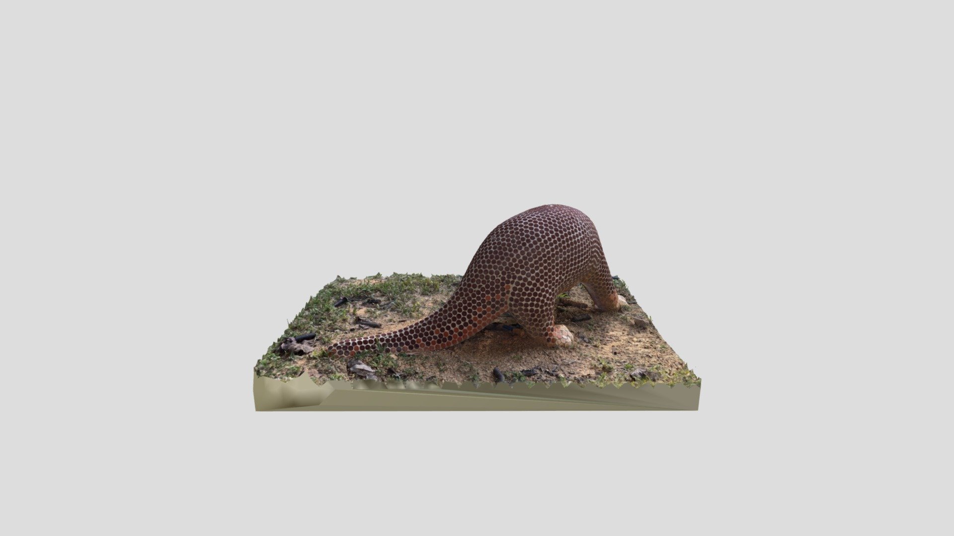ncnu-pangolin - Download Free 3D model by chikfungc [1ab7273] - Sketchfab