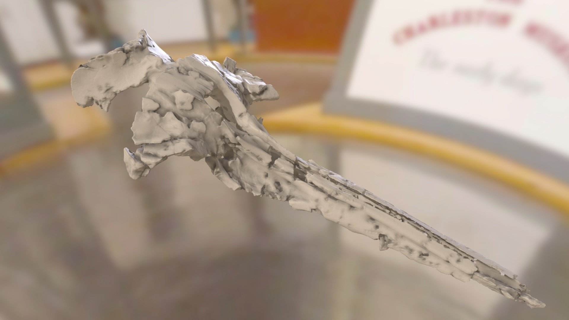 ChM PV8819 - TBD Whale Skull - Download Free 3D model by The Charleston ...