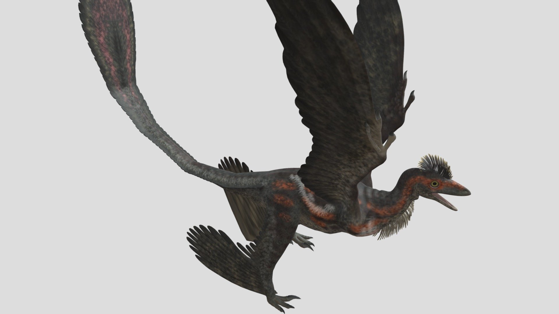 microraptor - Download Free 3D model by seth the yutyrannus (@slang107123456789) [1abac0f ...