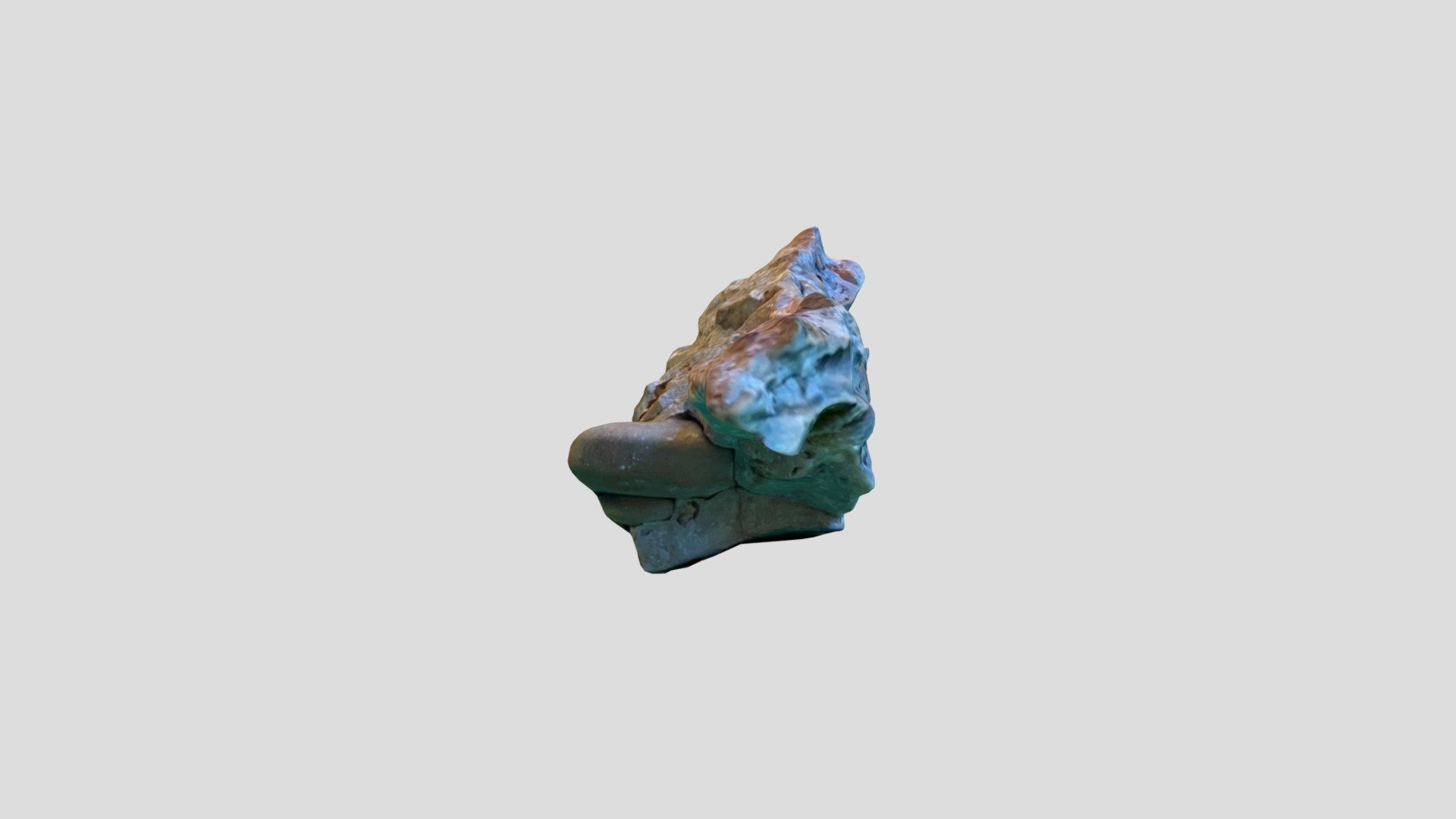 Crinoid Stems And Snail Shell In Dolostone - 3D model by k-brill ...