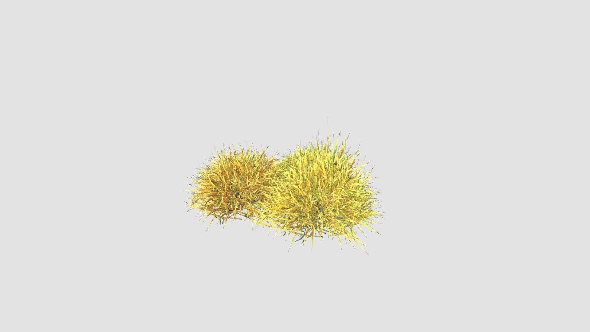 Decorative grass - Buy Royalty Free 3D model by Evermotion [1ac22ea ...