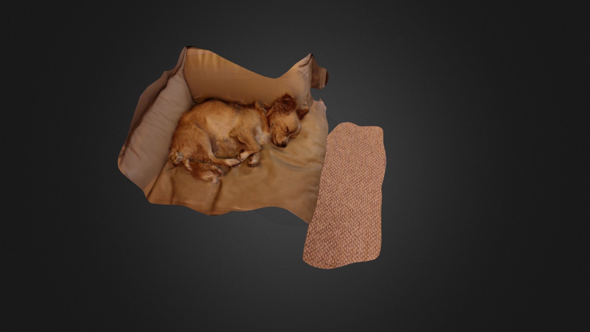 Coco - 3D model by Mark Kimura (@mkimura1971) [1ac3894] - Sketchfab