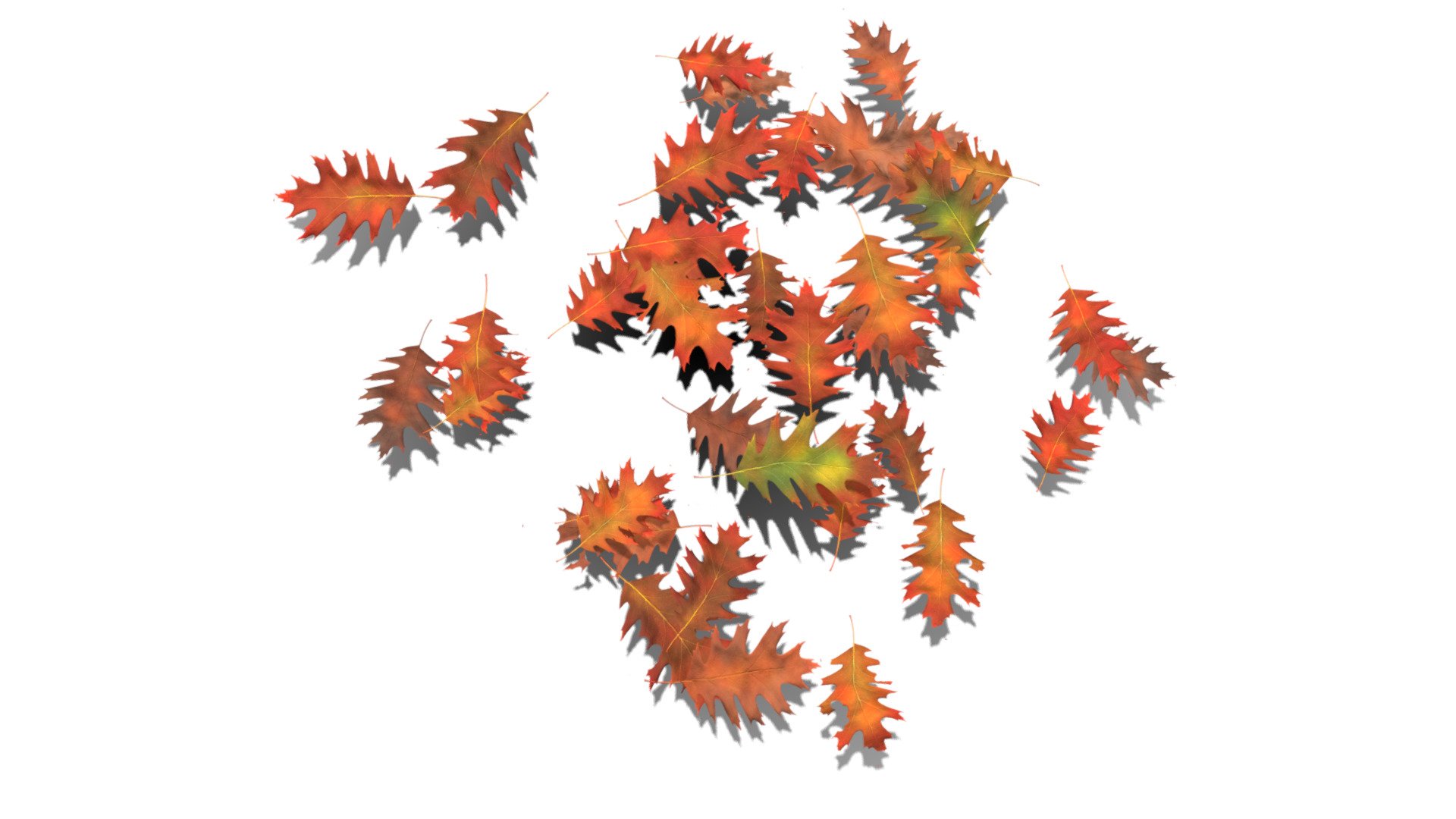 Realistic HD Red oak leaf litter (28/36) - Buy Royalty Free 3D model by ...