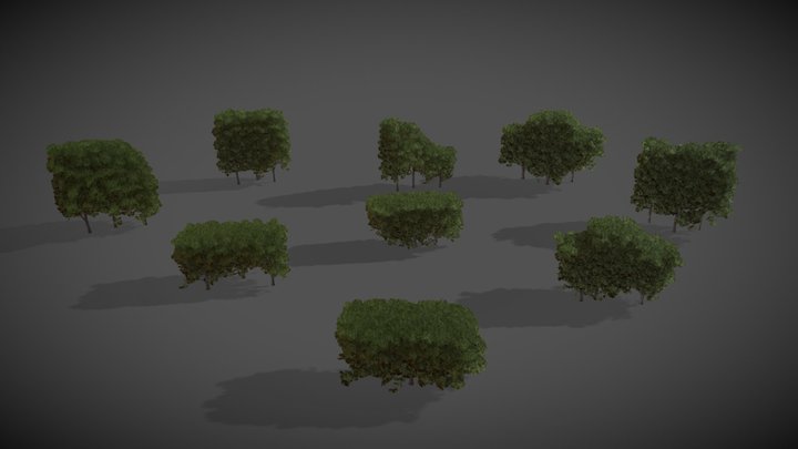 Hedges 3D models - Sketchfab