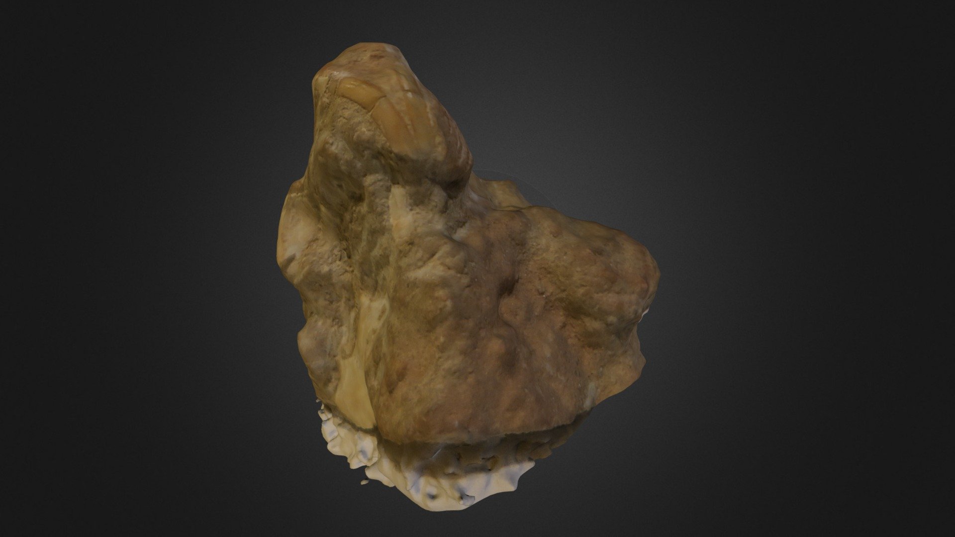 Rat Fossil - 3D model by gpenzo [1ad43f8] - Sketchfab