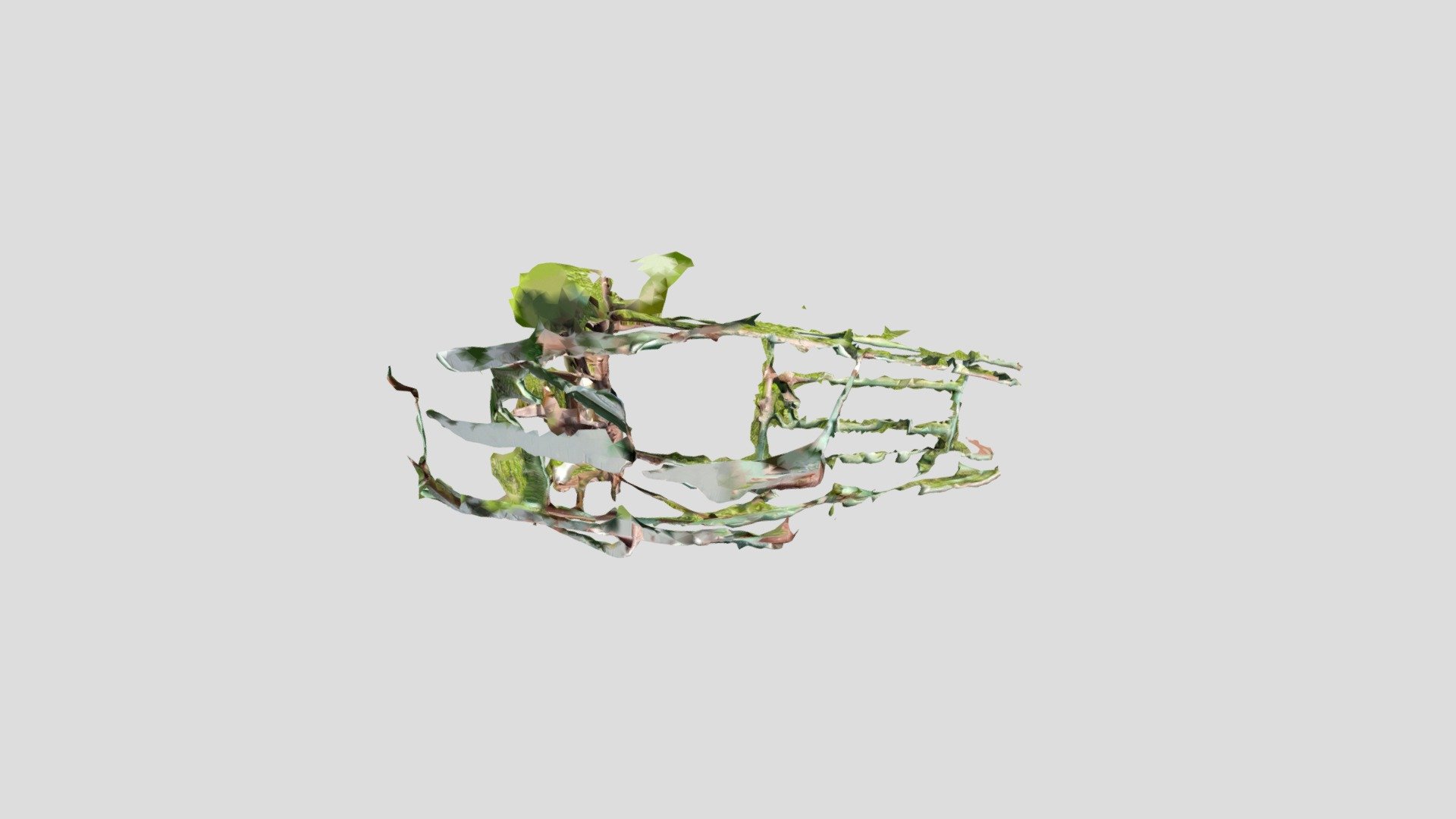 My stunning 3D reconstruction - 3D model by lykkan [1ad61b1] - Sketchfab
