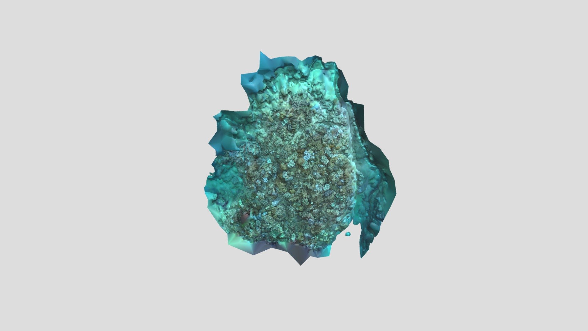 Soft Corals, Sunabe, Okinawa - 3D model by Emily G Mitchell ...