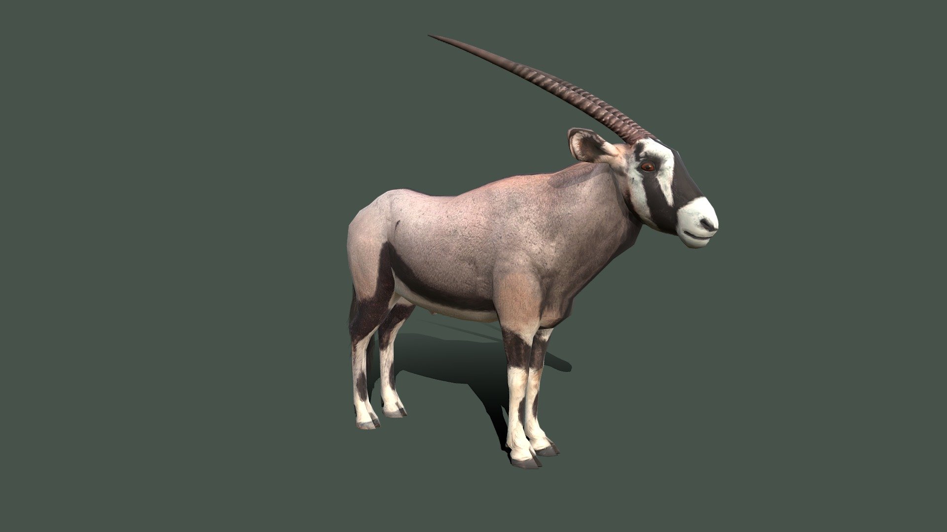 Orix - 3D model by Pepe Nuñez Naranjo (@josenuneznaranjo) [1ad7b80 ...