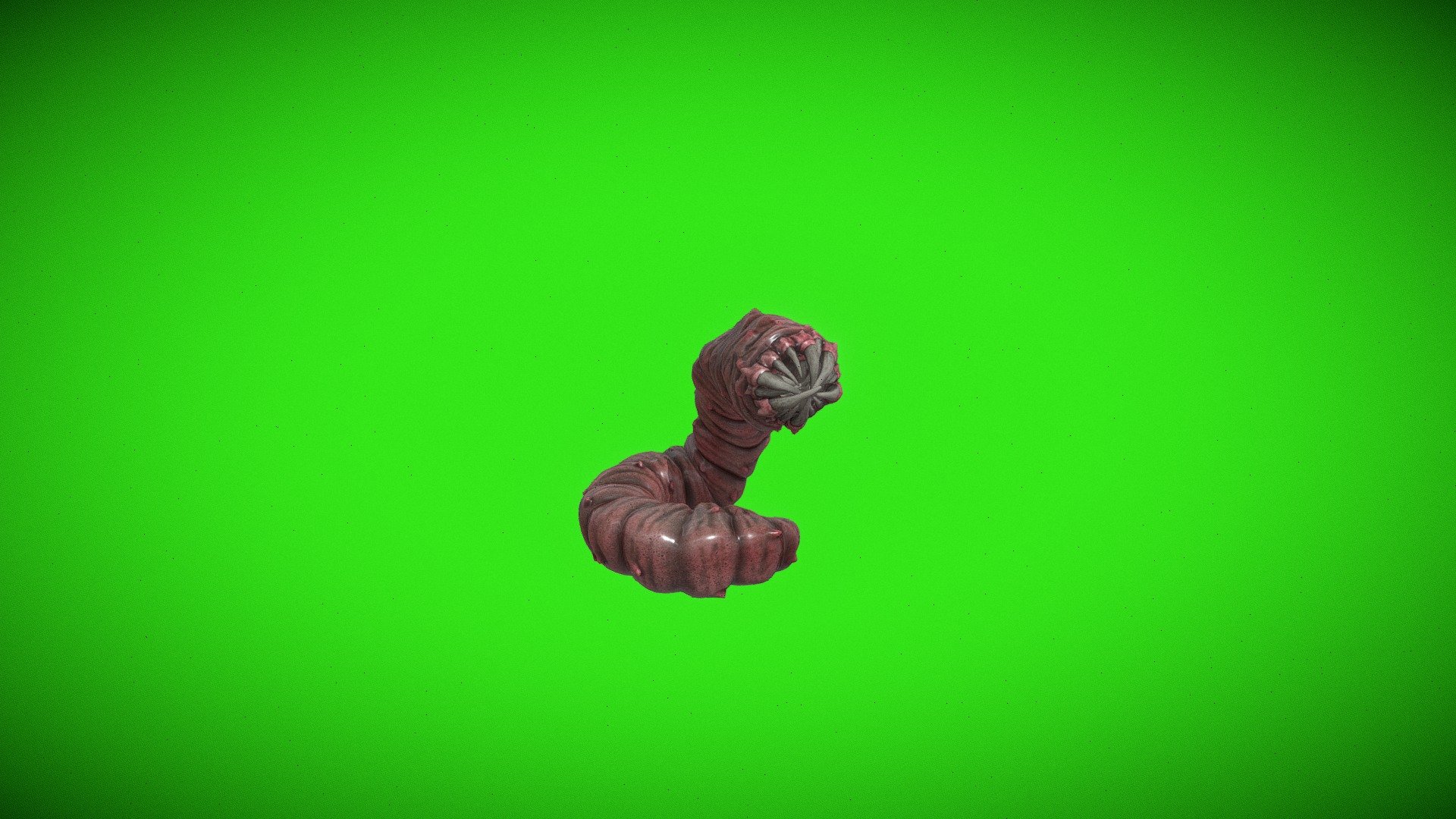 worm_green screen - 3D model by Maxngrumps (@Pro786) [1adc886] - Sketchfab
