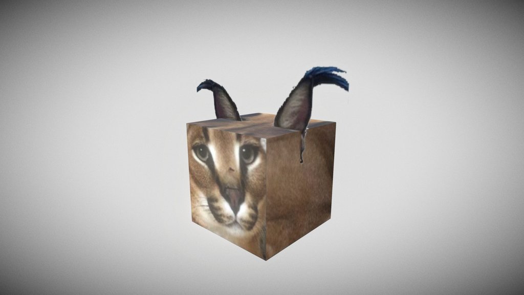 floppa - A 3D model collection by dudoknazar1 - Sketchfab