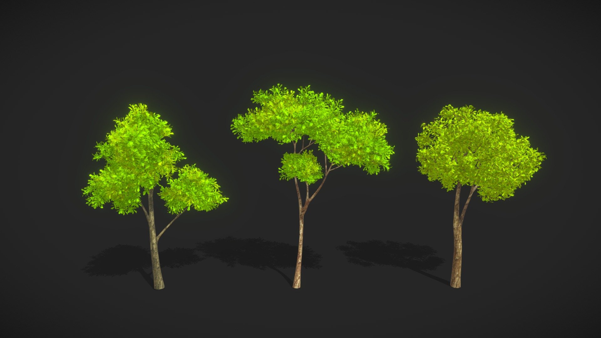 tree - Buy Royalty Free 3D model by ostrich (@gohean33) [1ae874e ...