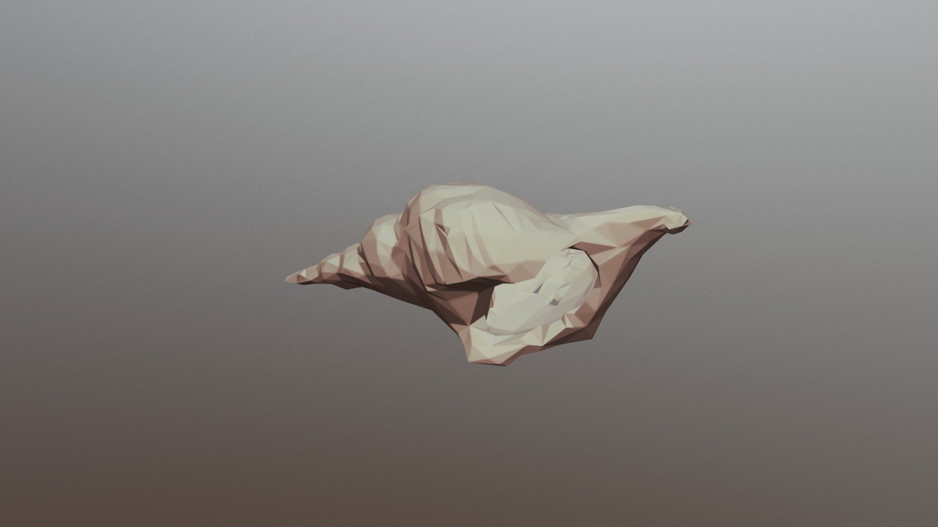 Small Seashell 1500k - 3D model by Wastetalent [1aeb93b] - Sketchfab
