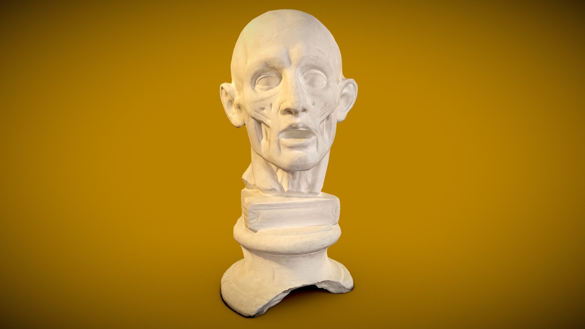 Ecorche - 3D model by posssesssed [1af1286] - Sketchfab