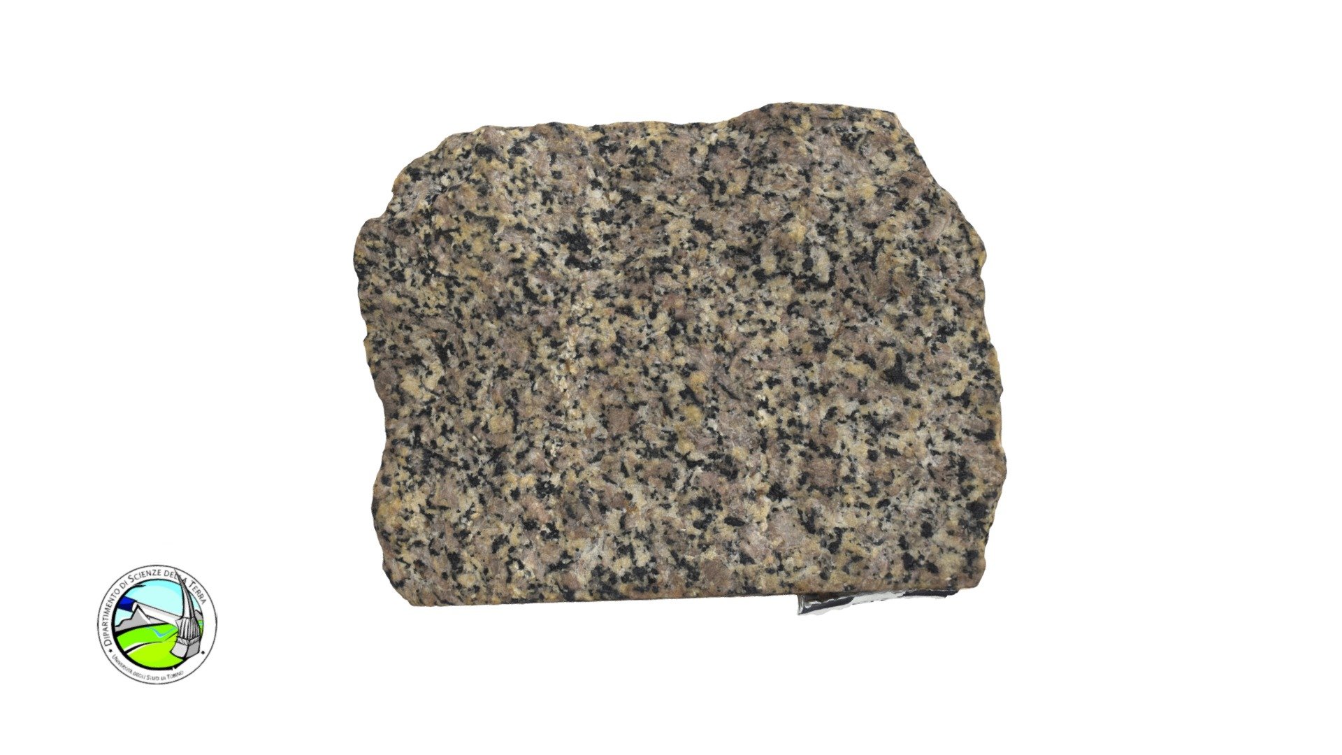 P22 - Monzonite anfibolica - 3D model by Dipartimento di Scienze della ...