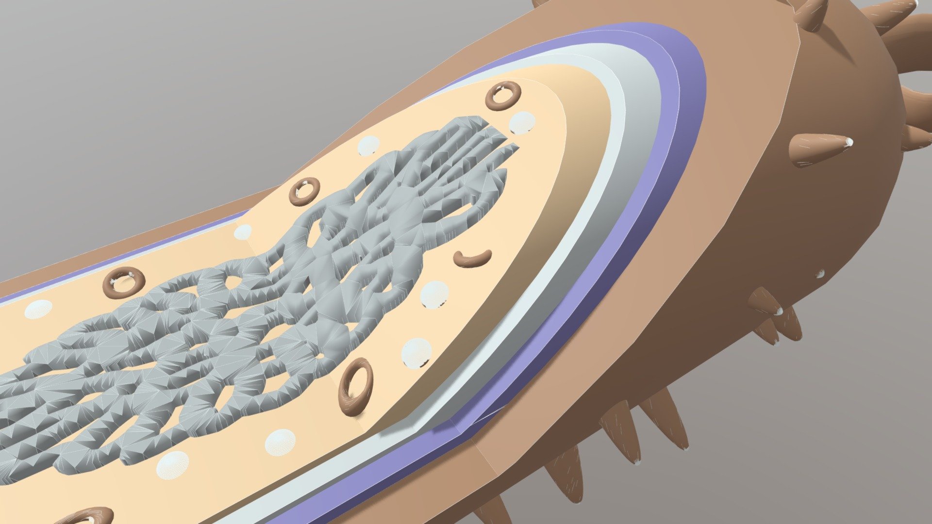 prokaryote cell - 3D model by NHAT NAM (@nhtanam0509) [1af6eb2] - Sketchfab