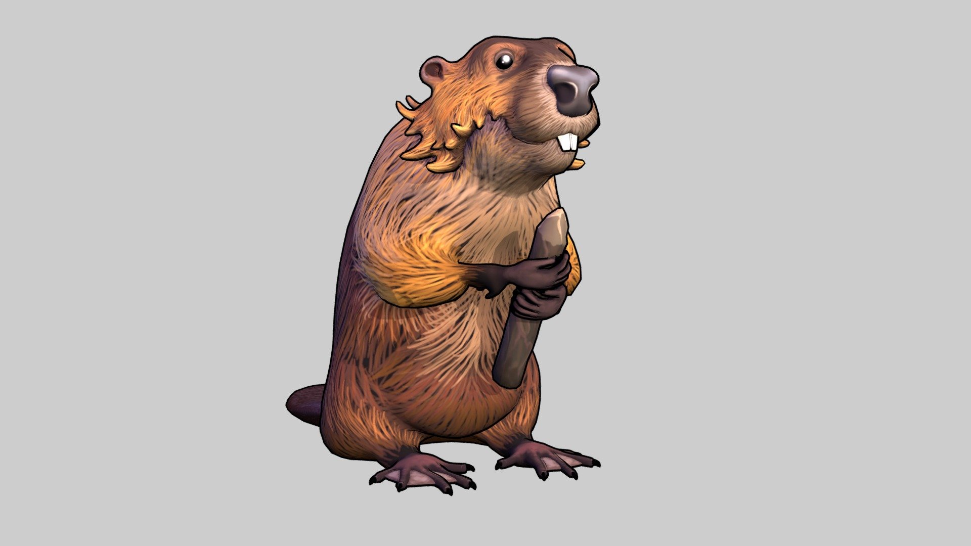 Castor - Download Free 3D model by FrancisLeg [1afaa7e] - Sketchfab