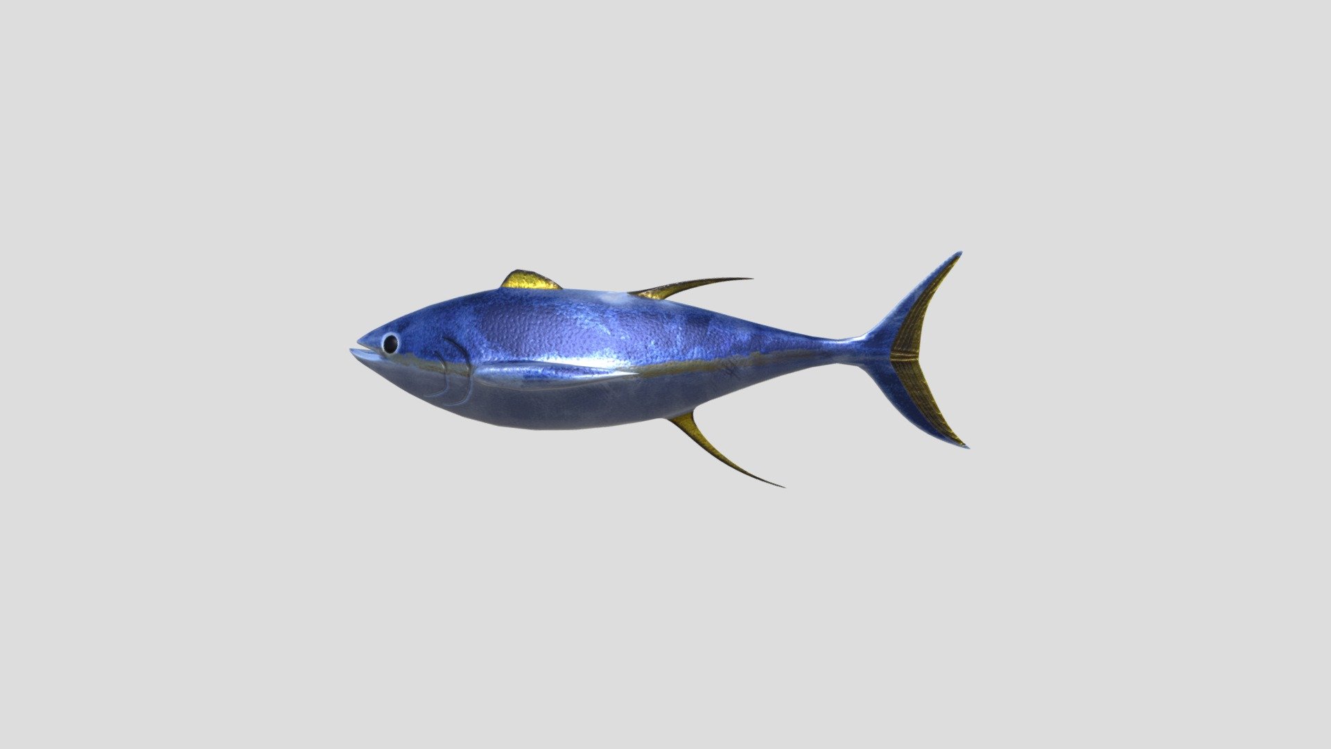 Fish - Download Free 3D model by Amy Flanagan (@AmyFlanagan) [1afb03d ...