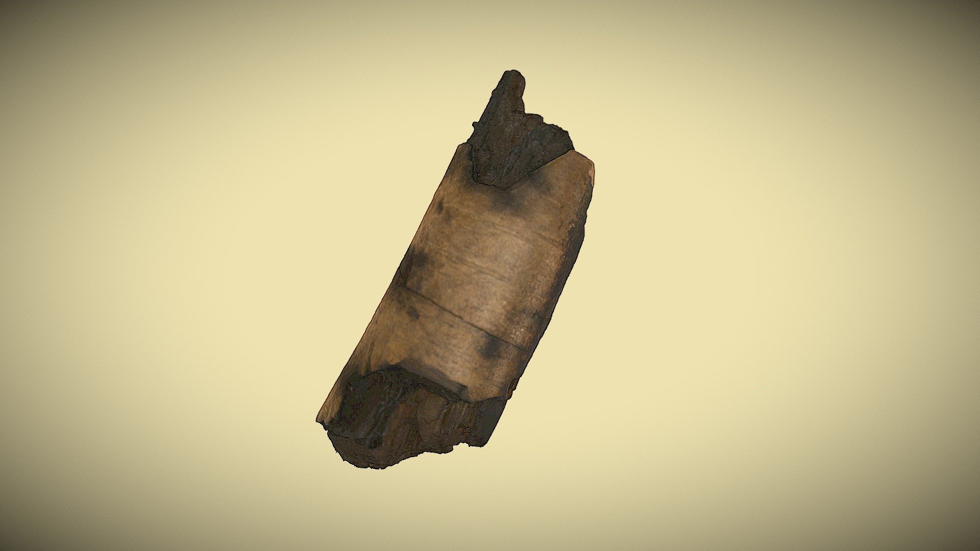 Neolithic silver birch - 3D model by Islands of Stone (@IoS_Hebrides ...