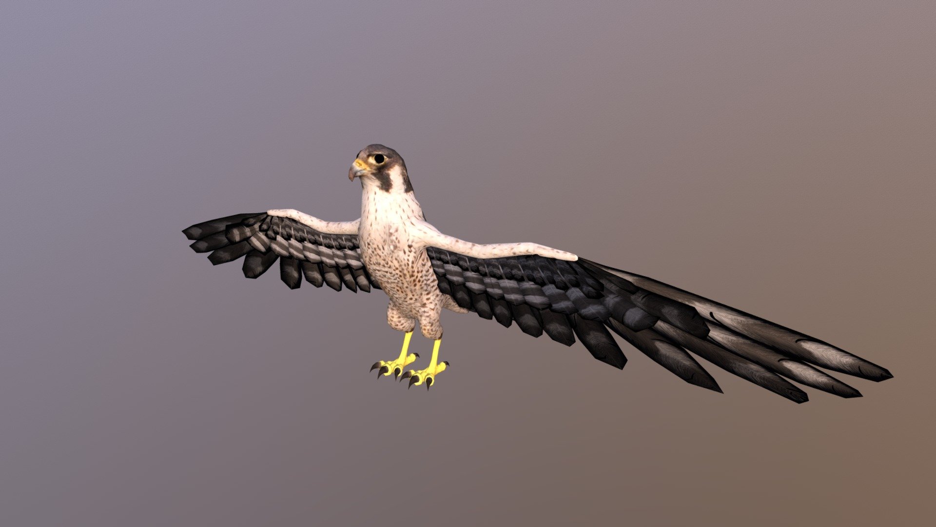 Falcon - Buy Royalty Free 3D model by 3dlowpoly [1afee7b] - Sketchfab Store