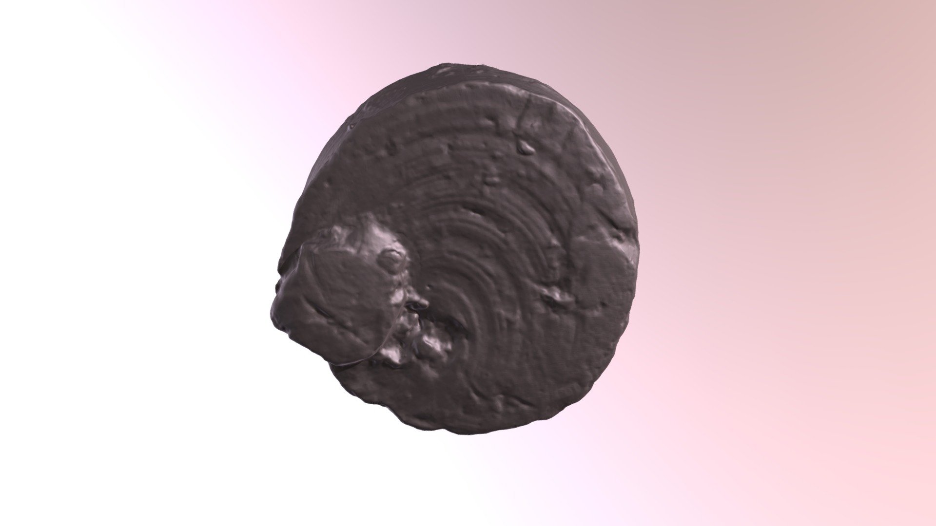 Cirkelvormige strepen / Concentric striations - Download Free 3D model ...