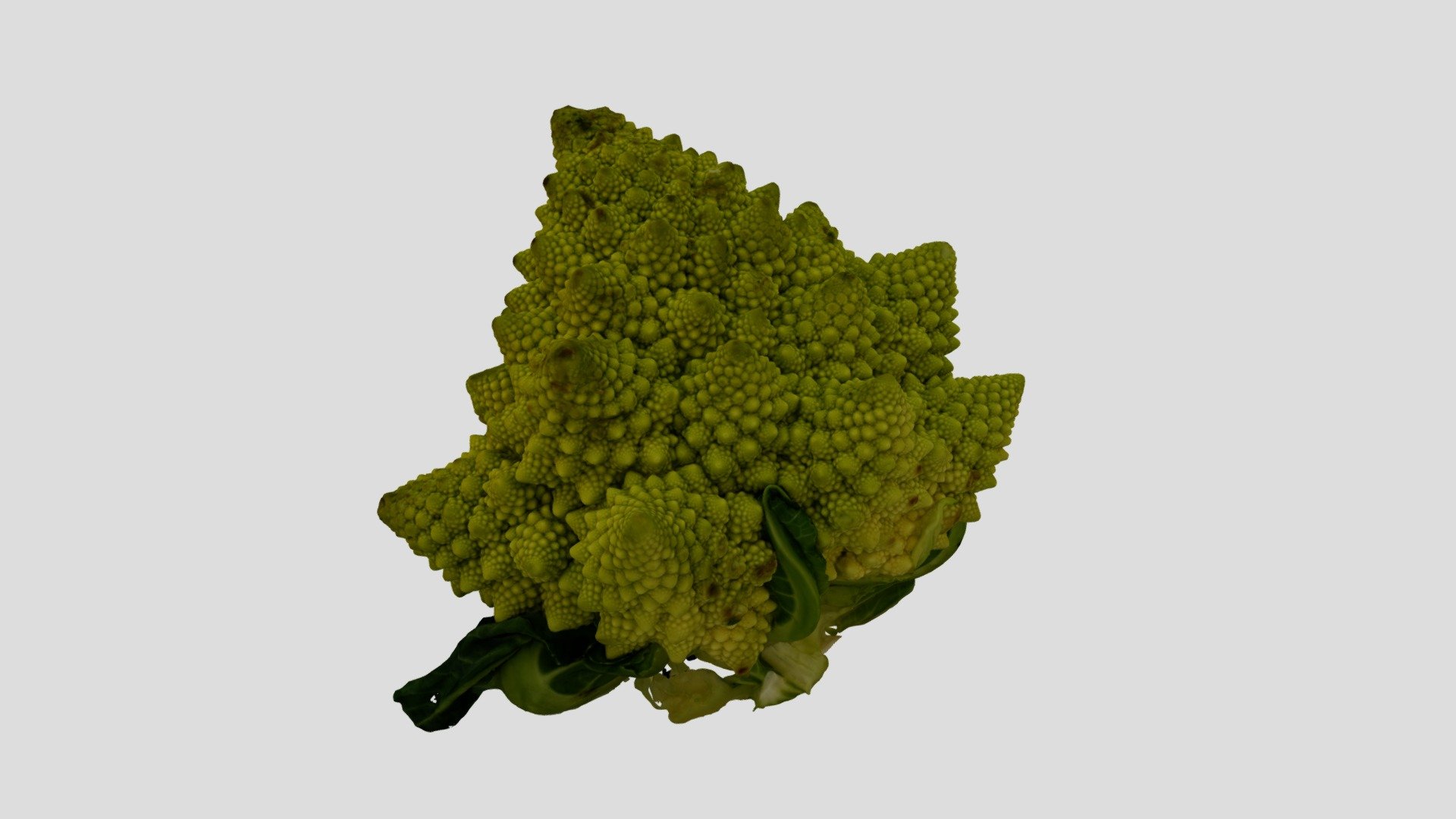 Broccolo Romanesco 03 - Download Free 3D model by AtsushiNoguchi ...