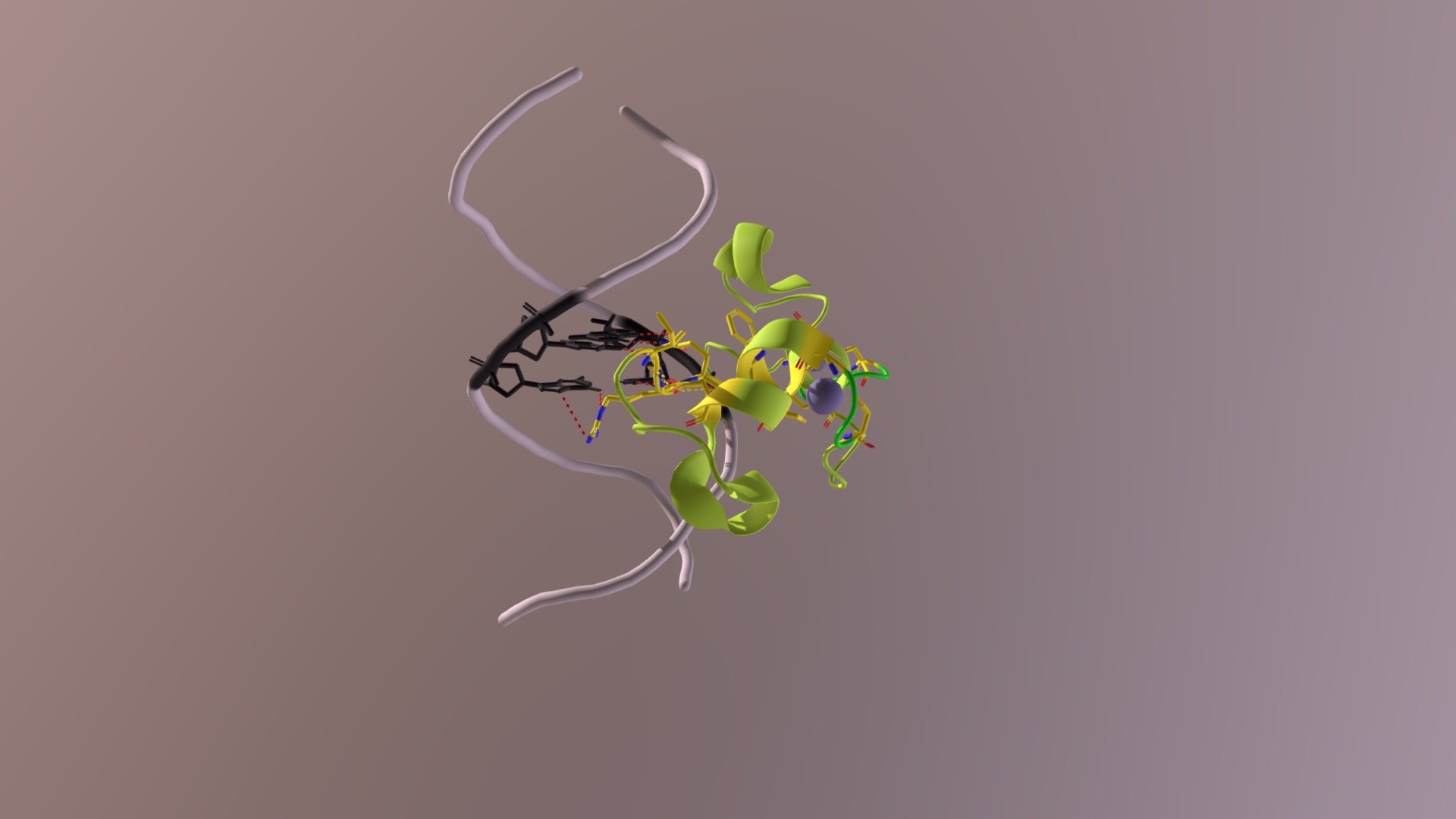 CXXC Zn Finger of CFP1 + DNA - 3D model by mikoli [1b114f6] - Sketchfab