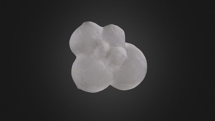 Protist 3D models - Sketchfab