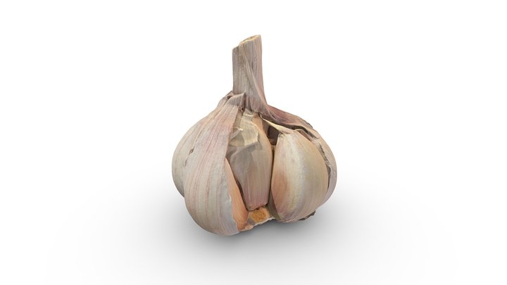 Clove 3D models - Sketchfab