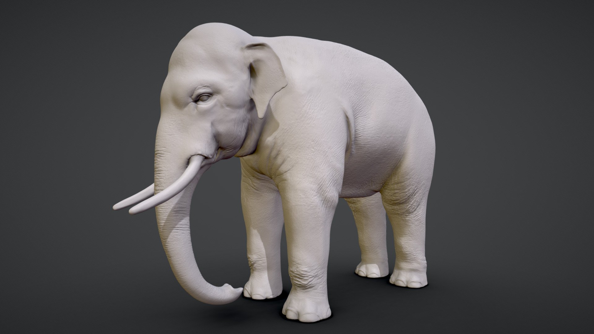 Asian Elephant - Buy Royalty Free 3D model by Viverna (@Viverna_362 ...