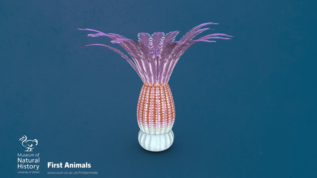 cambrian - A 3D model collection by sharkbait12 - Sketchfab