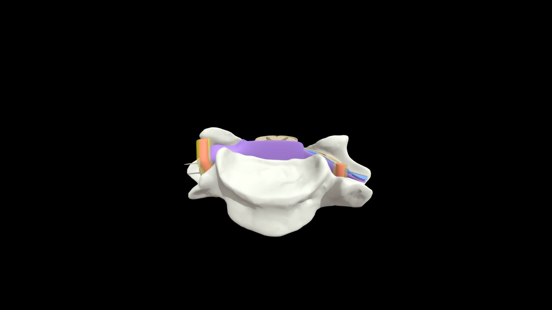 C6 transverse cut 2-2 - Download Free 3D model by aandp [1b2b663 ...